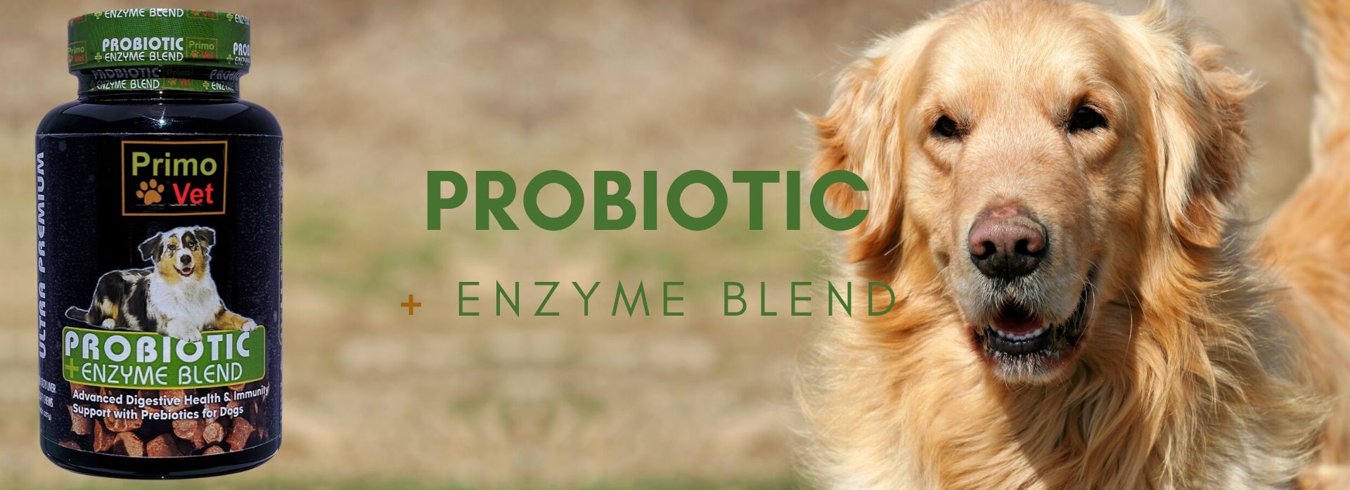 Probiotic + - Primo Vet